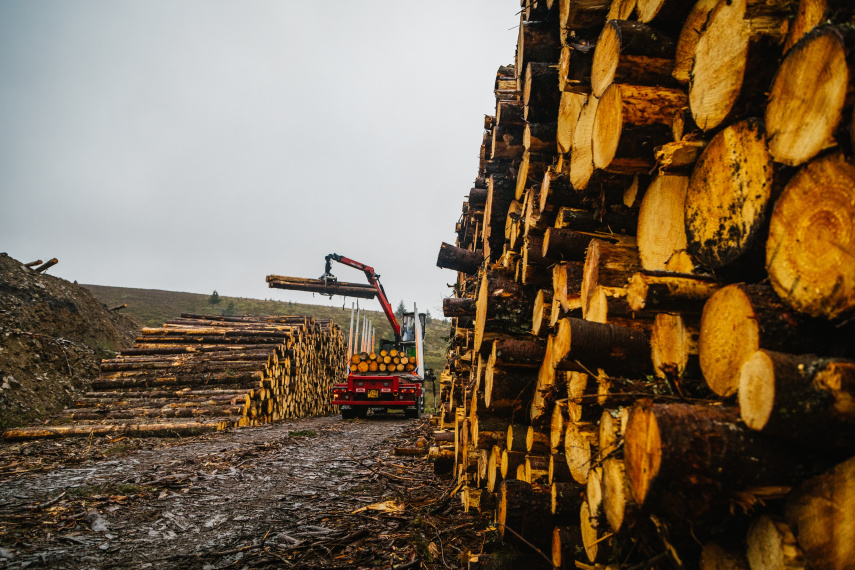 Land Management Planning – Crown Estate Scotland - Transparency of ...